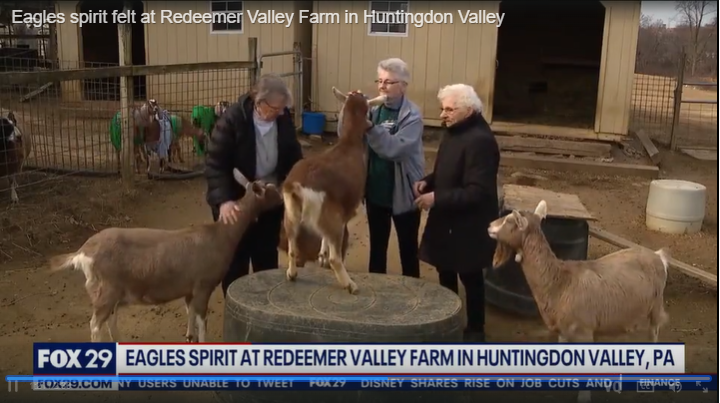 FOX29 highlights Eagles spirit at Redeemer Valley Farm in Huntingdon ...