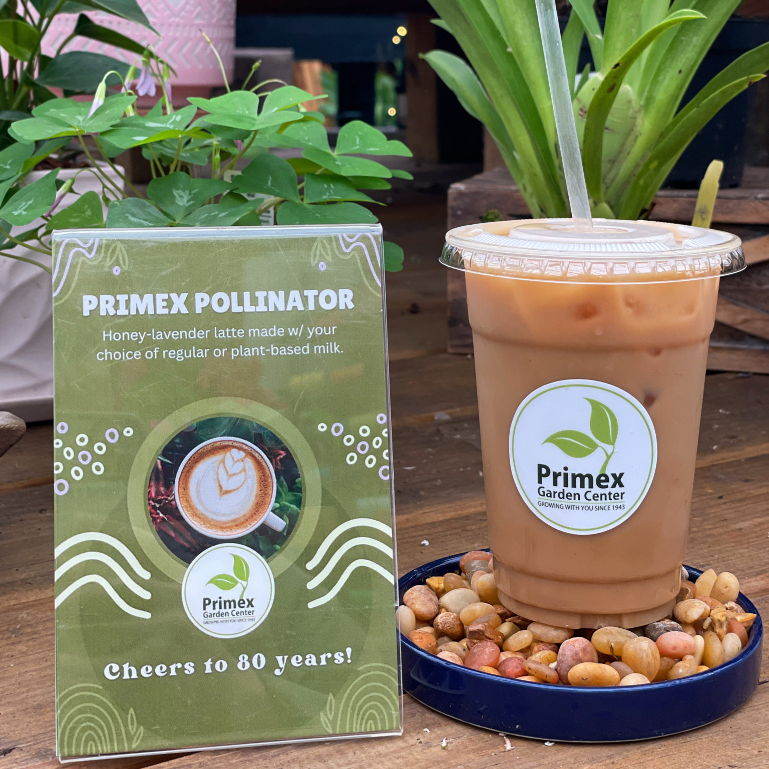 Primex Garden Center to celebrate 80th anniversary with Elcy's Cafe and ...
