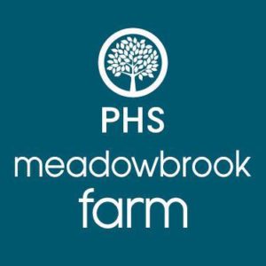 PHS Meadowbrook Farm in Jenkintown to reopen Saturday, multiple ...