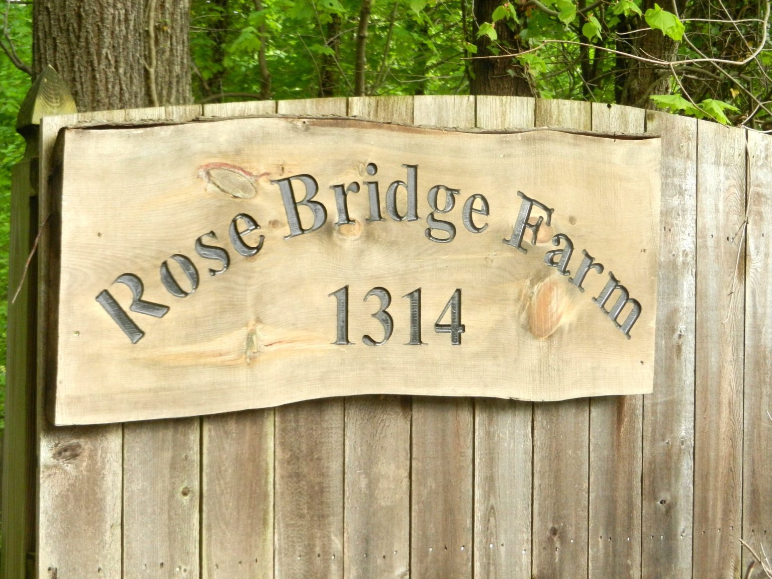 Pygmy goats from Rose Bridge Farm in Dresher make debut at Lehigh ...