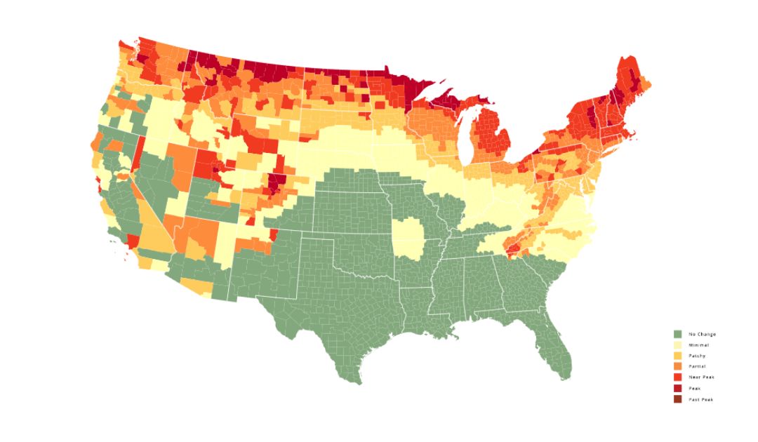 Travel news site offers interactive Fall Foliage Map - Glenside Local