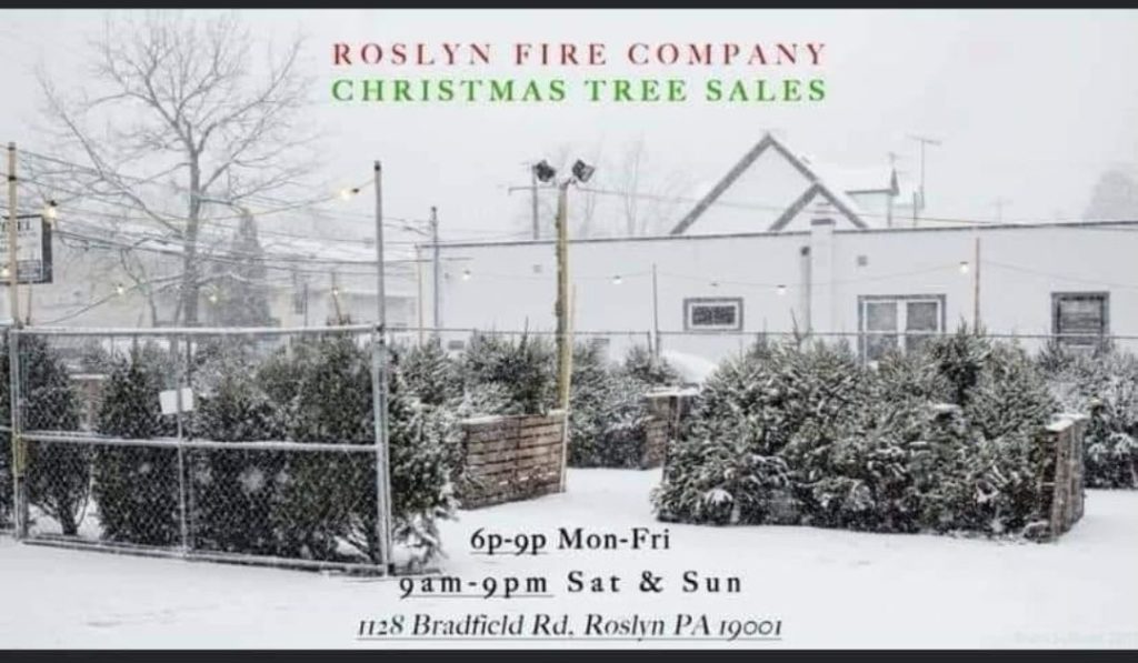 Roslyn Fire Company’s Christmas Tree Yard opens for the season ...