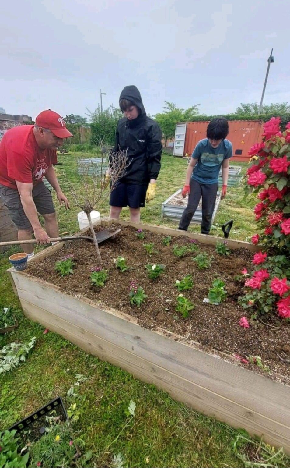 Abington's Boy Scout Troop #437 launches 4th annual Community Garden ...