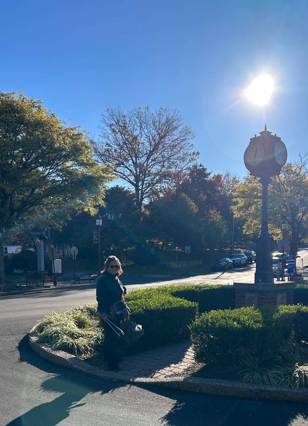 Meet Cathy Gallagher: Glenside's unofficial tidy upper who hasn't ...