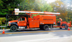 Asplundh Tree Expert of Willow Grove acquires Texas-based electrical ...