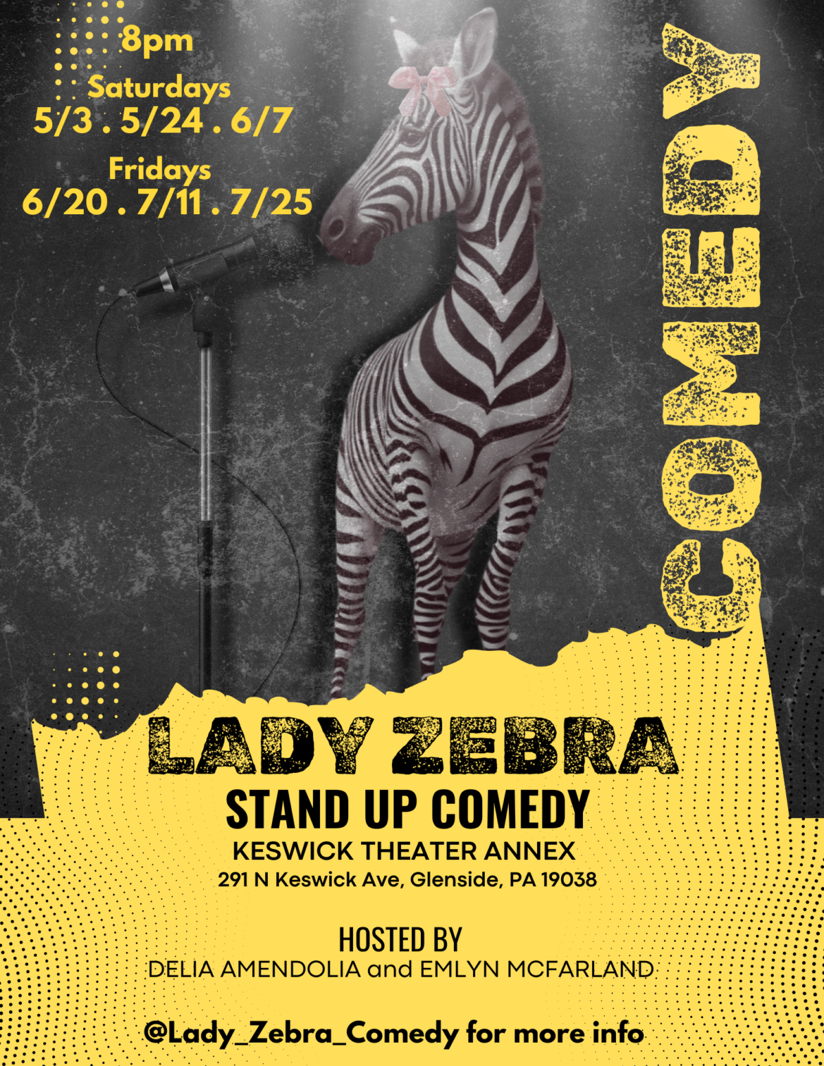 Lady Zebra Comedy, a new stand-up comedy and open mic series, has come ...