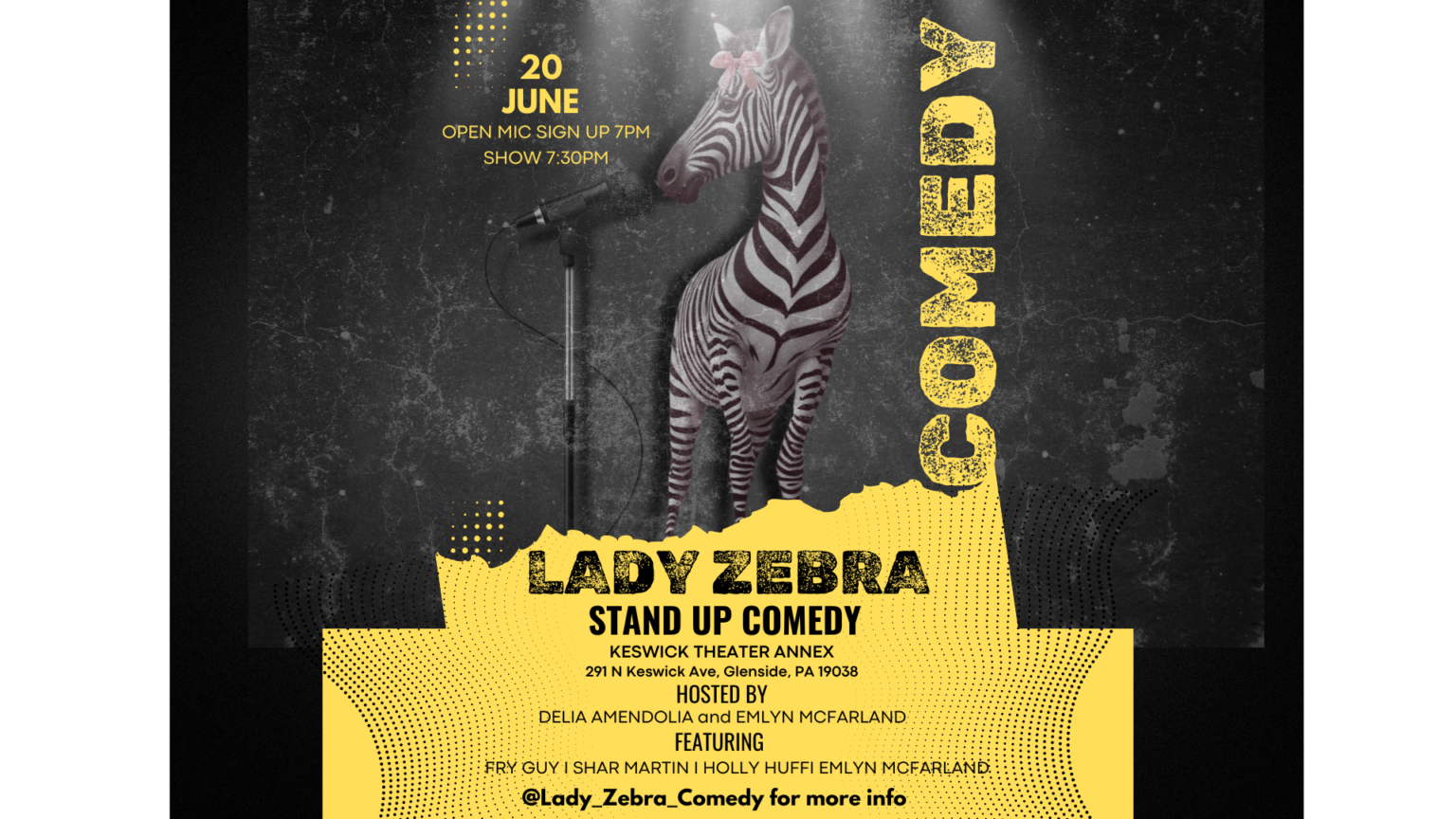 Lady Zebra Comedy to host stand-up and open mic night on June 20 in the ...