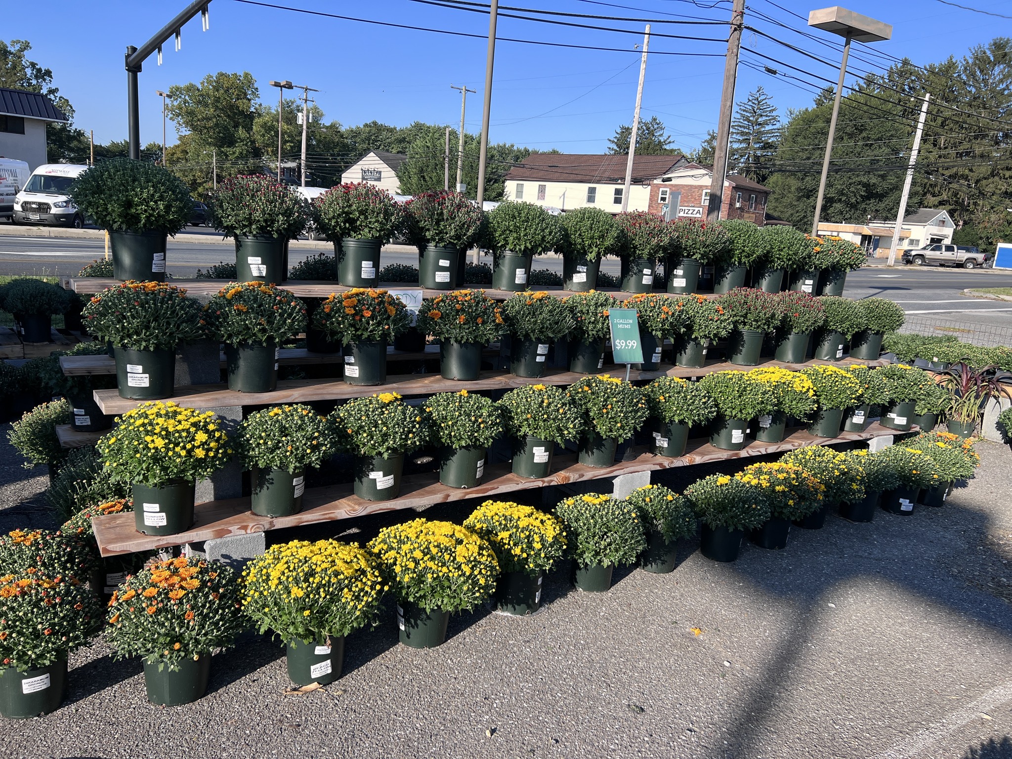 Second Chance Plants, a discount garden center, to open in the Willow ...